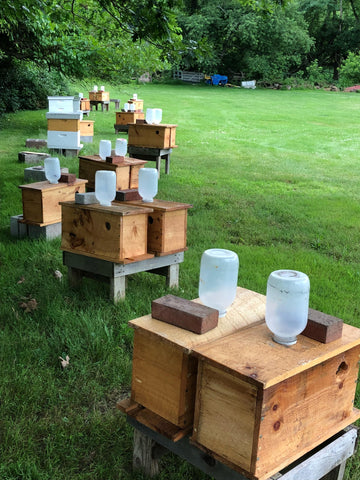 2024 Five-Frame Nuc Pre-Order ($100 Deposit) – Neshanic Station Apiaries