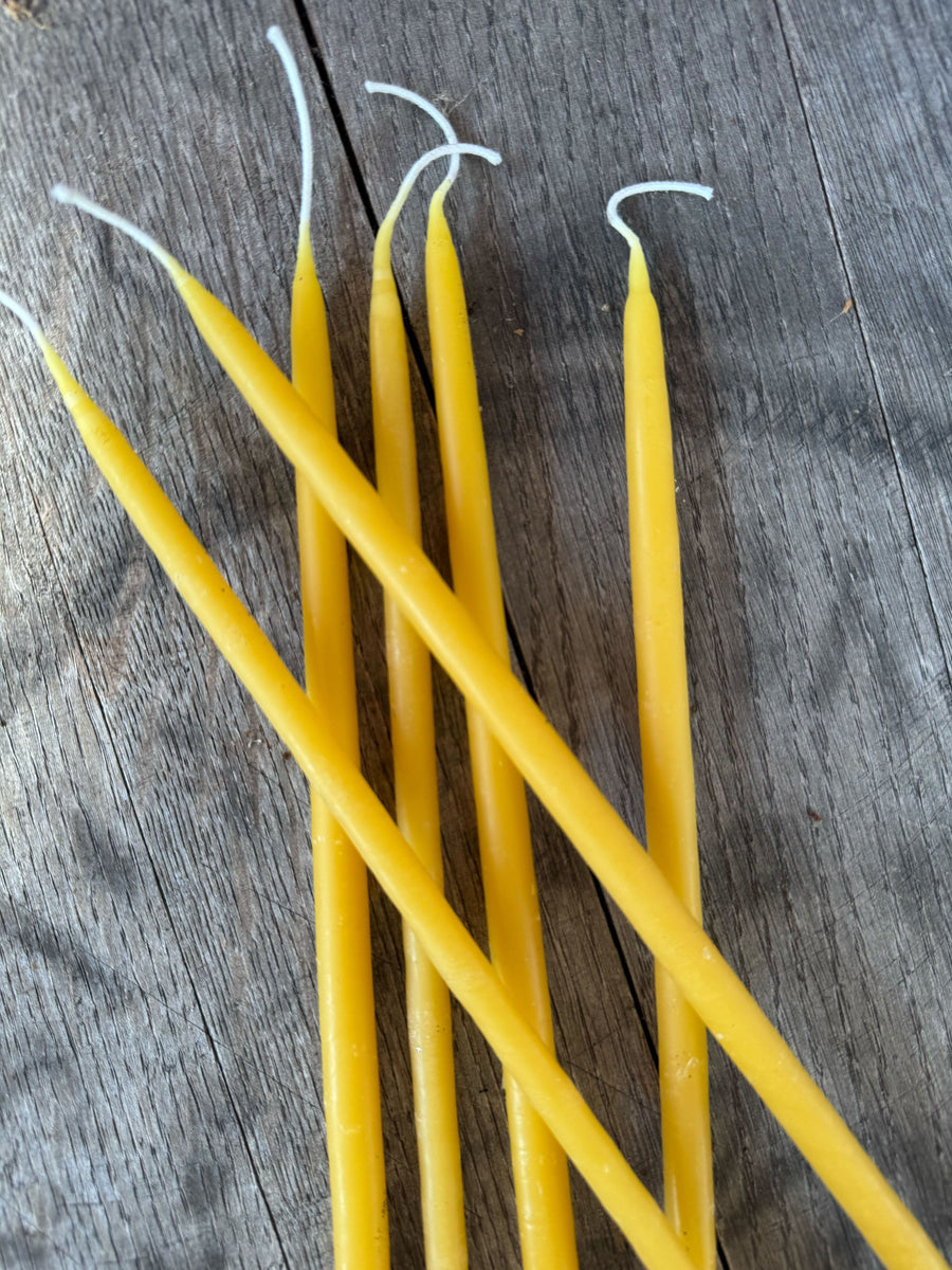 Mini-Taper Candles – Neshanic Station Apiaries
