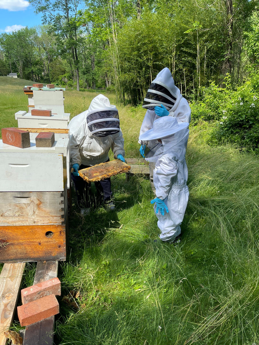 Apiary Tour – Neshanic Station Apiaries